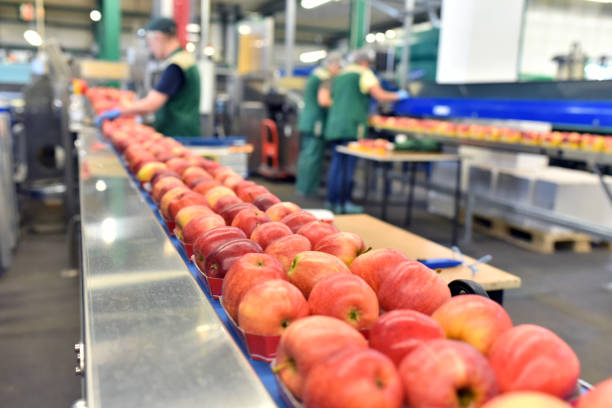 Build The Best Food Processing Plant With These Tips! - vintech magazine