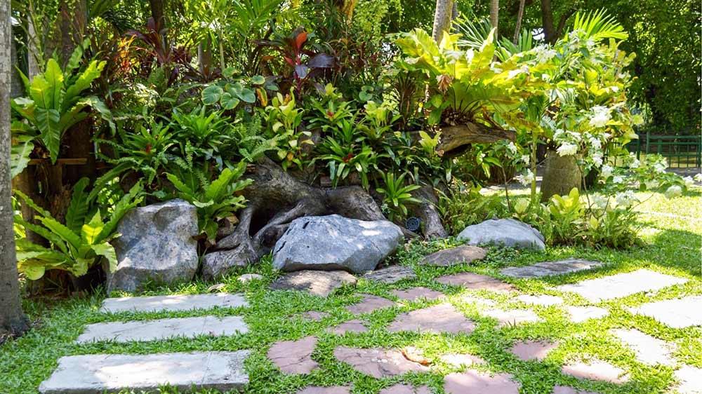 Creating a wildlife-friendly backyard - Steps and benefits - vintech ...